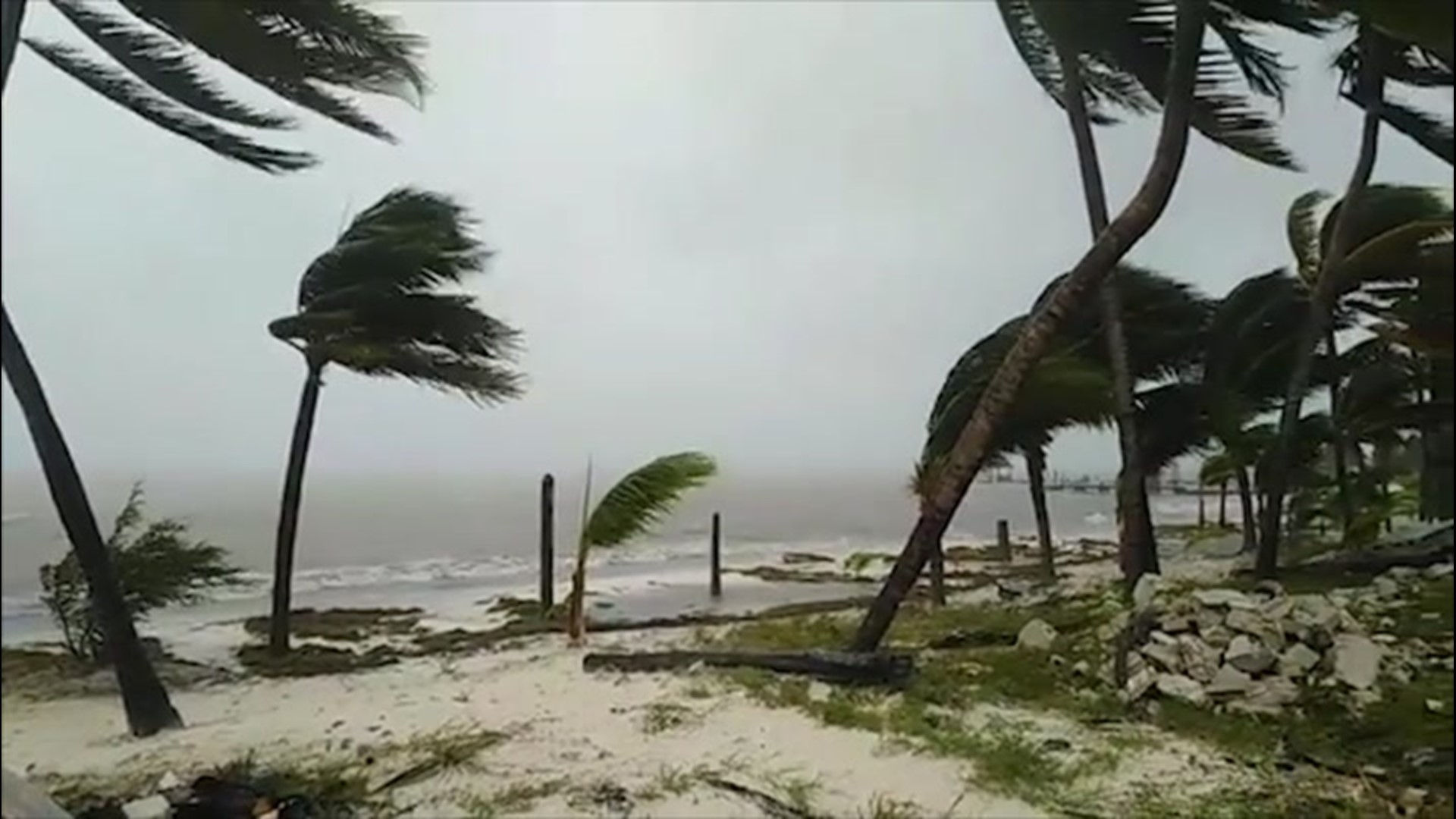 Tropical Storm Gamma turns deadly as it inundates Mexico's Yucatan ...