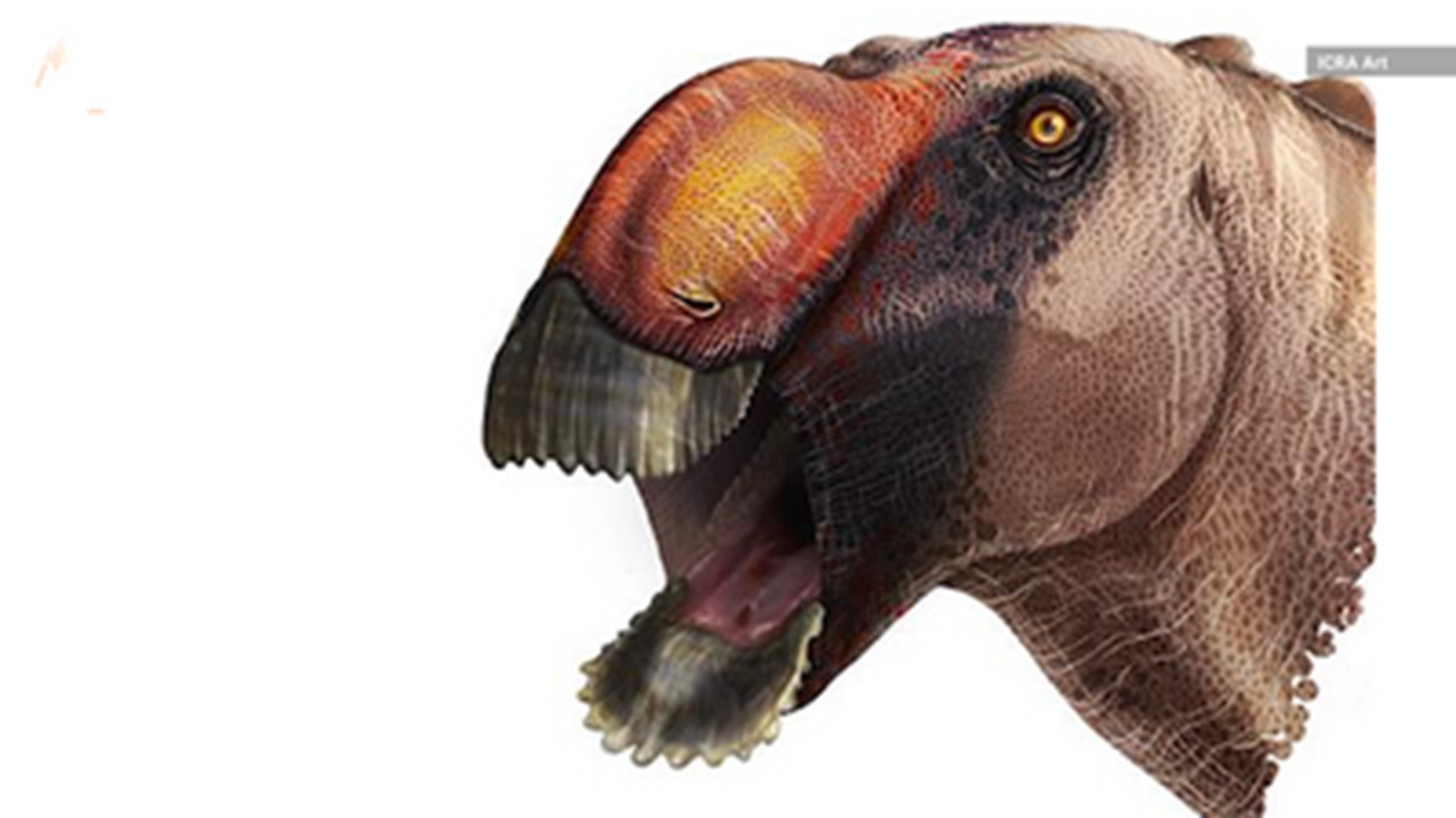 Duck-billed dinosaur found at Big Bend National Park identified as new ...