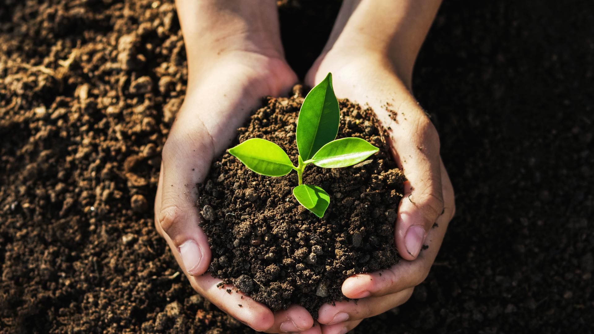 Why is Earth Day on April 22? | kiiitv.com