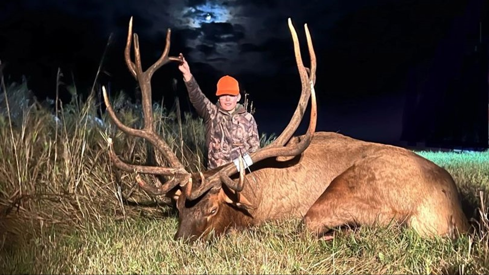 13-year-old hunter bags elk of a lifetime in NW Minnesota | kiiitv.com