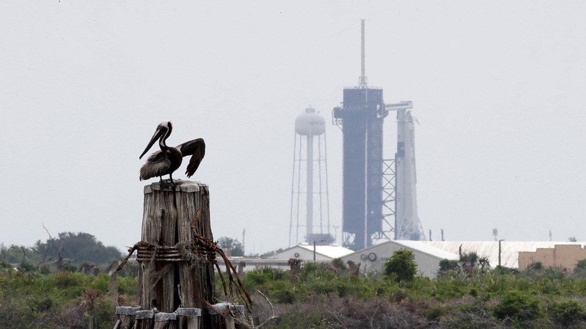 NASA SpaceX Crew Dragon launch scrubbed | kiiitv.com