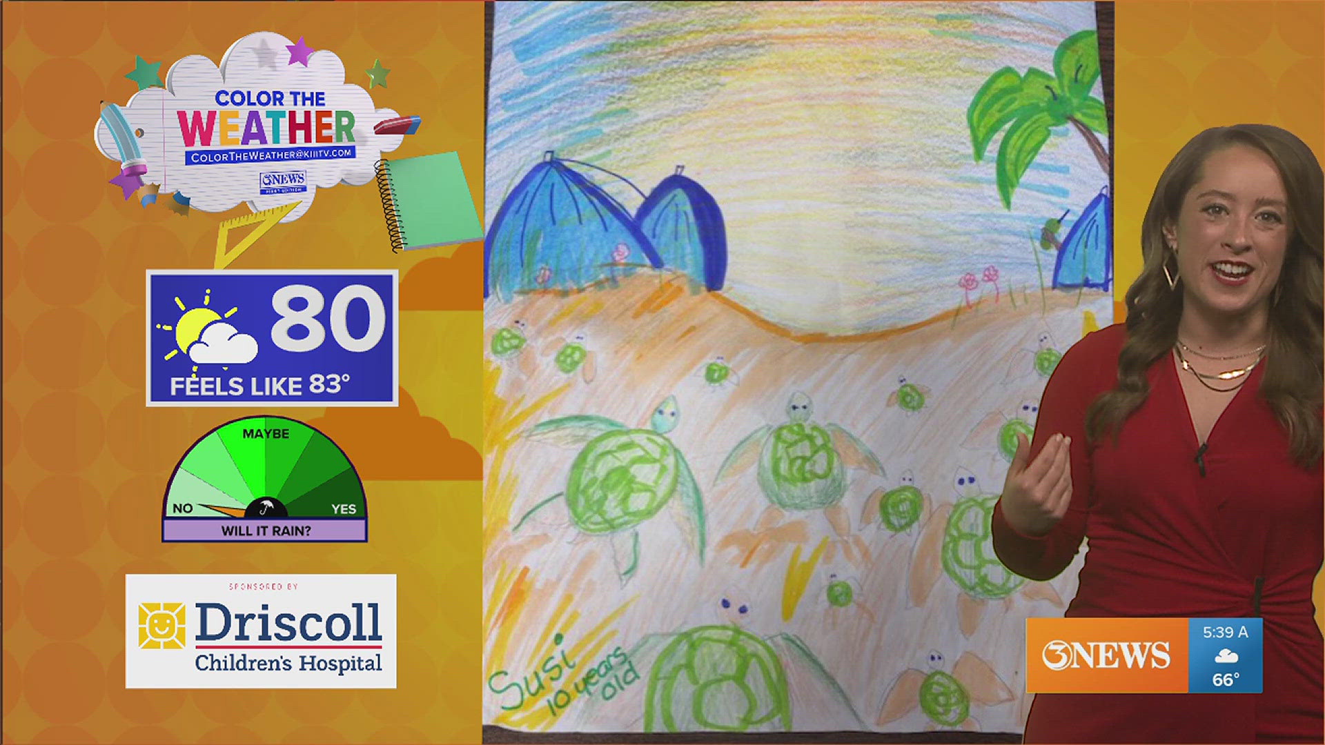 Incredible turtles drawn by Susie! Monday's Color the Weather | kiiitv.com
