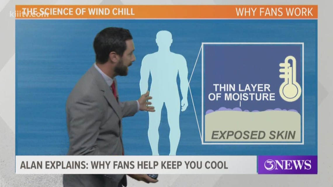 How fans keep your body cool in the hot summer weather | kiiitv.com