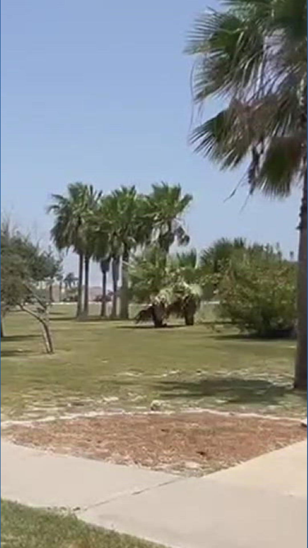 Corpus Christi and PIPOA work to update Billish Park 2017 agreement ...