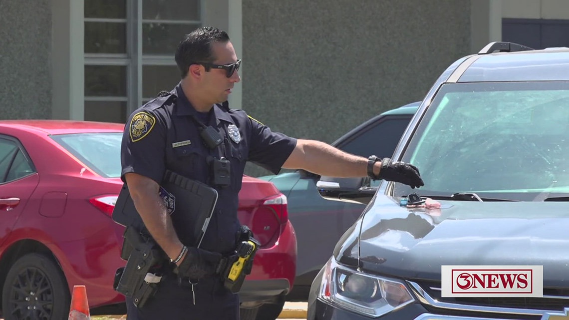 Mother requests bond reduction in Texas toddler's hot-car death ...