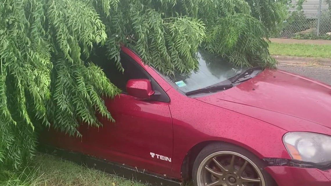 Corpus Christi man's car is crushed by falling tree limb | kiiitv.com