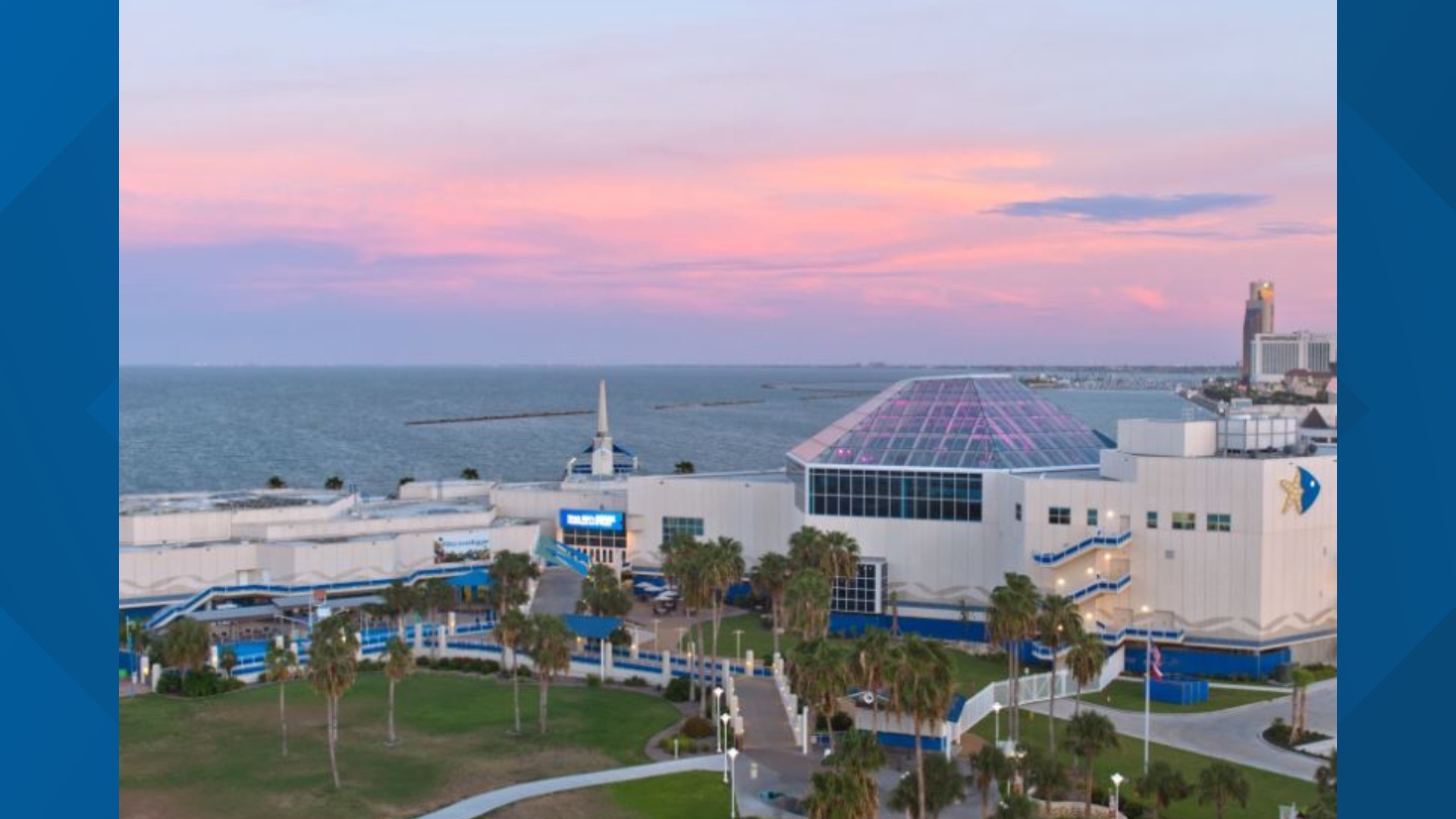 Texas State Aquarium sees Jesse Gilbert as interim CEO | kiiitv.com
