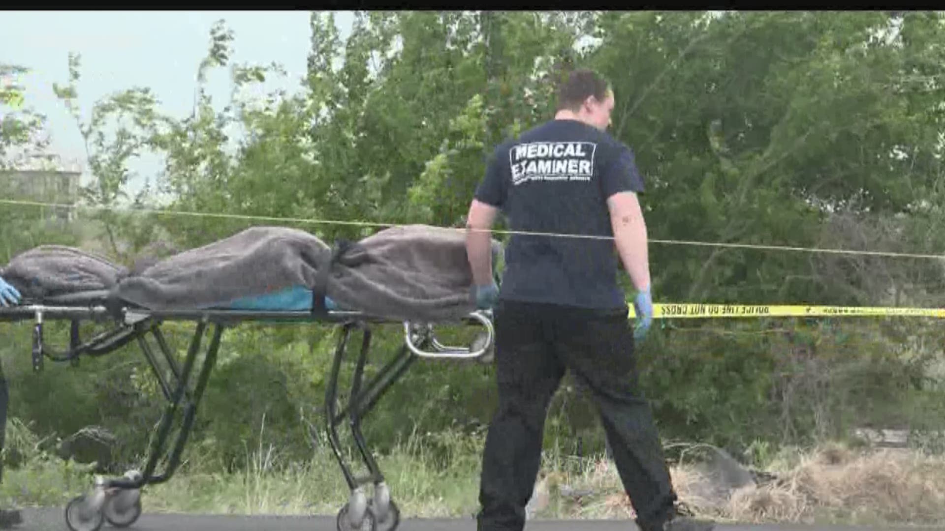 Skeletal remains of human body discovered along Highway 77 | kiiitv.com