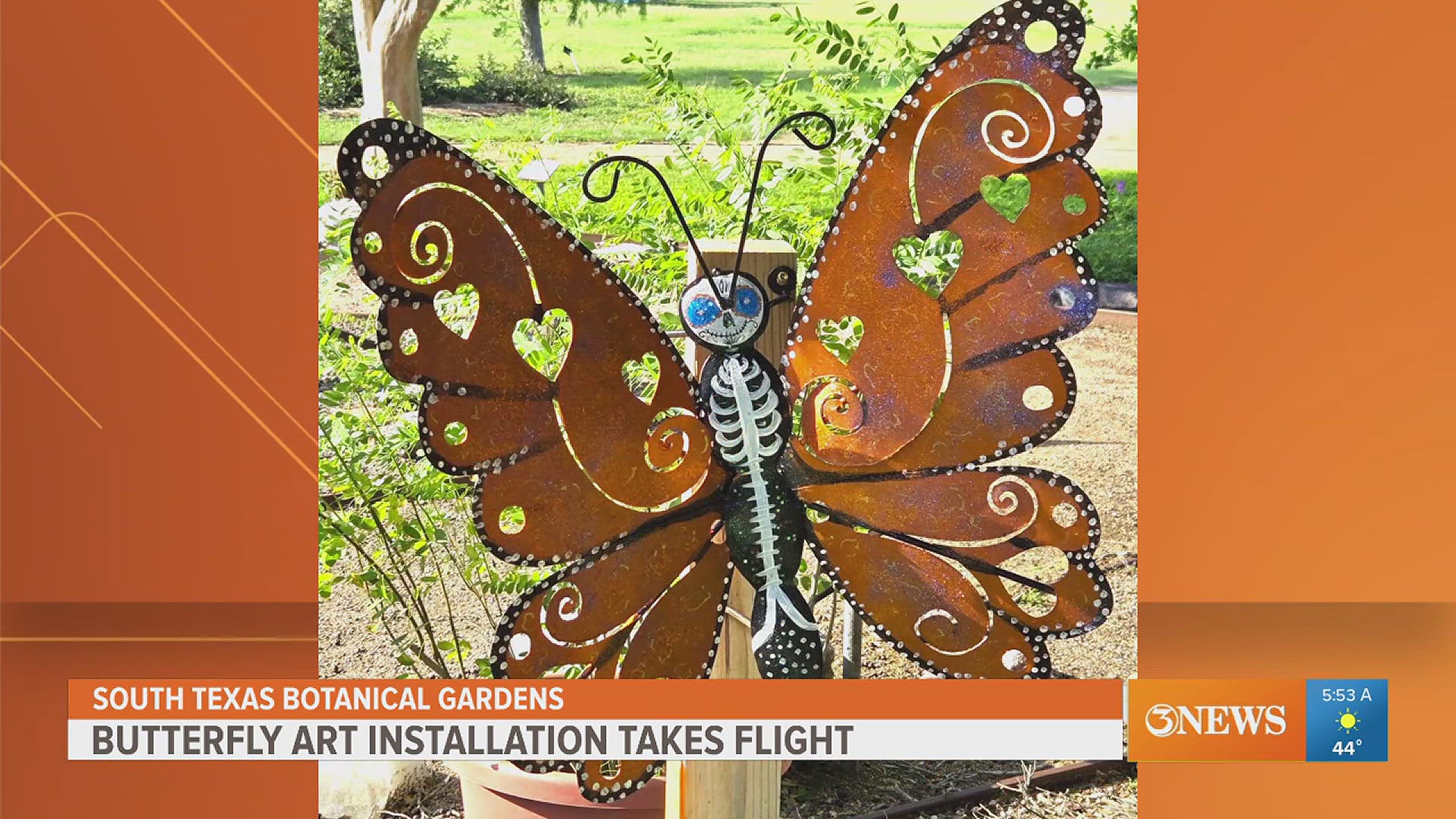 Botanical Gardens Butterfly Art | kiiitv.com