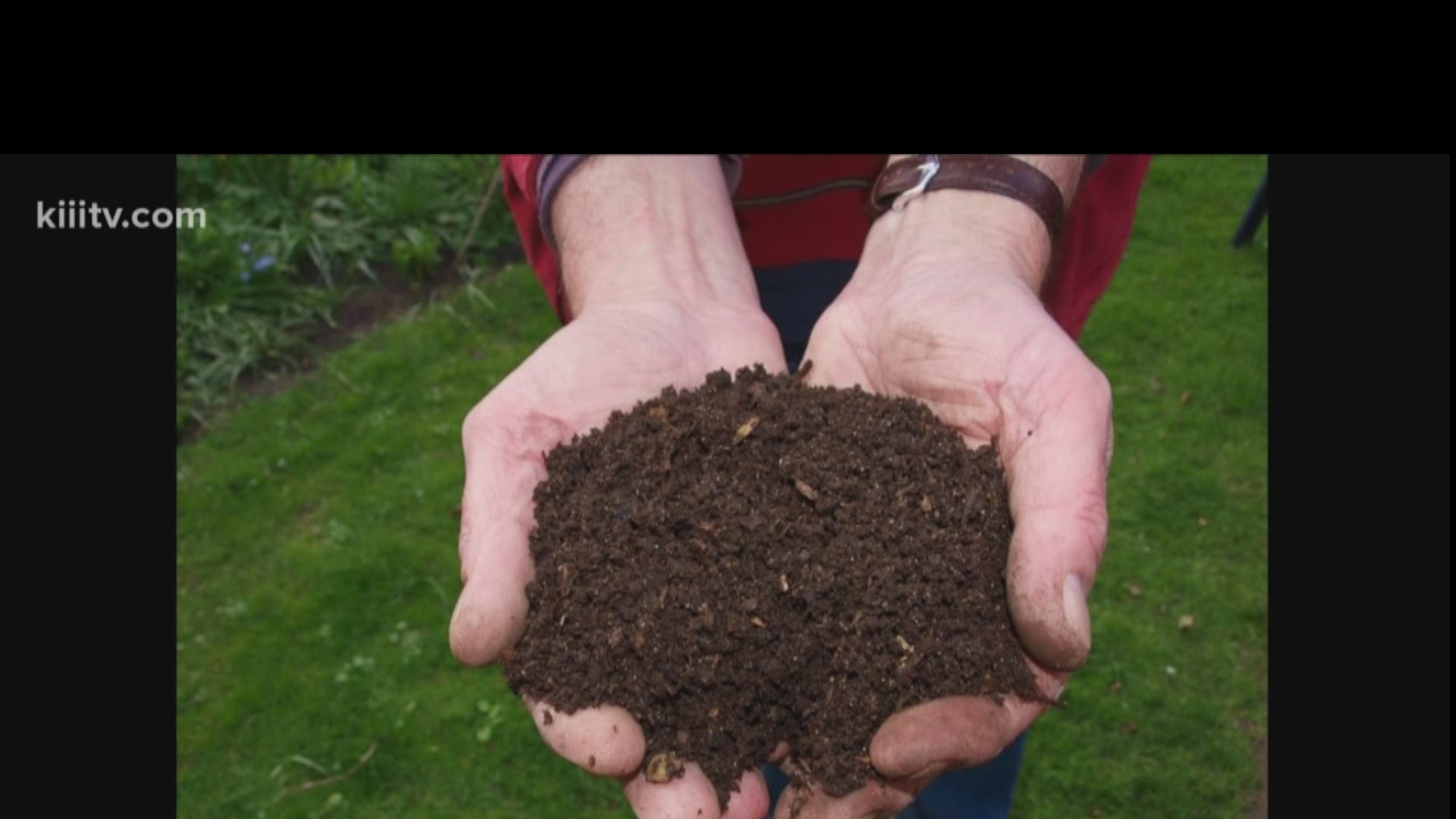 When To Use Compost Tea