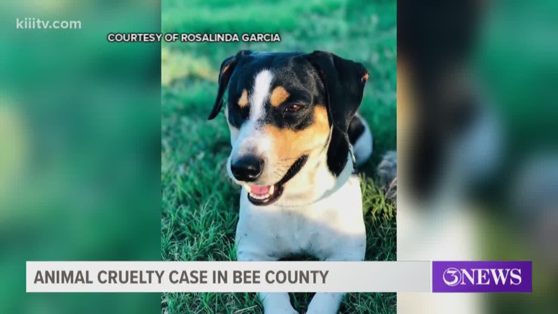 Family dog burned alive, Bee County authorities looking for answers ...