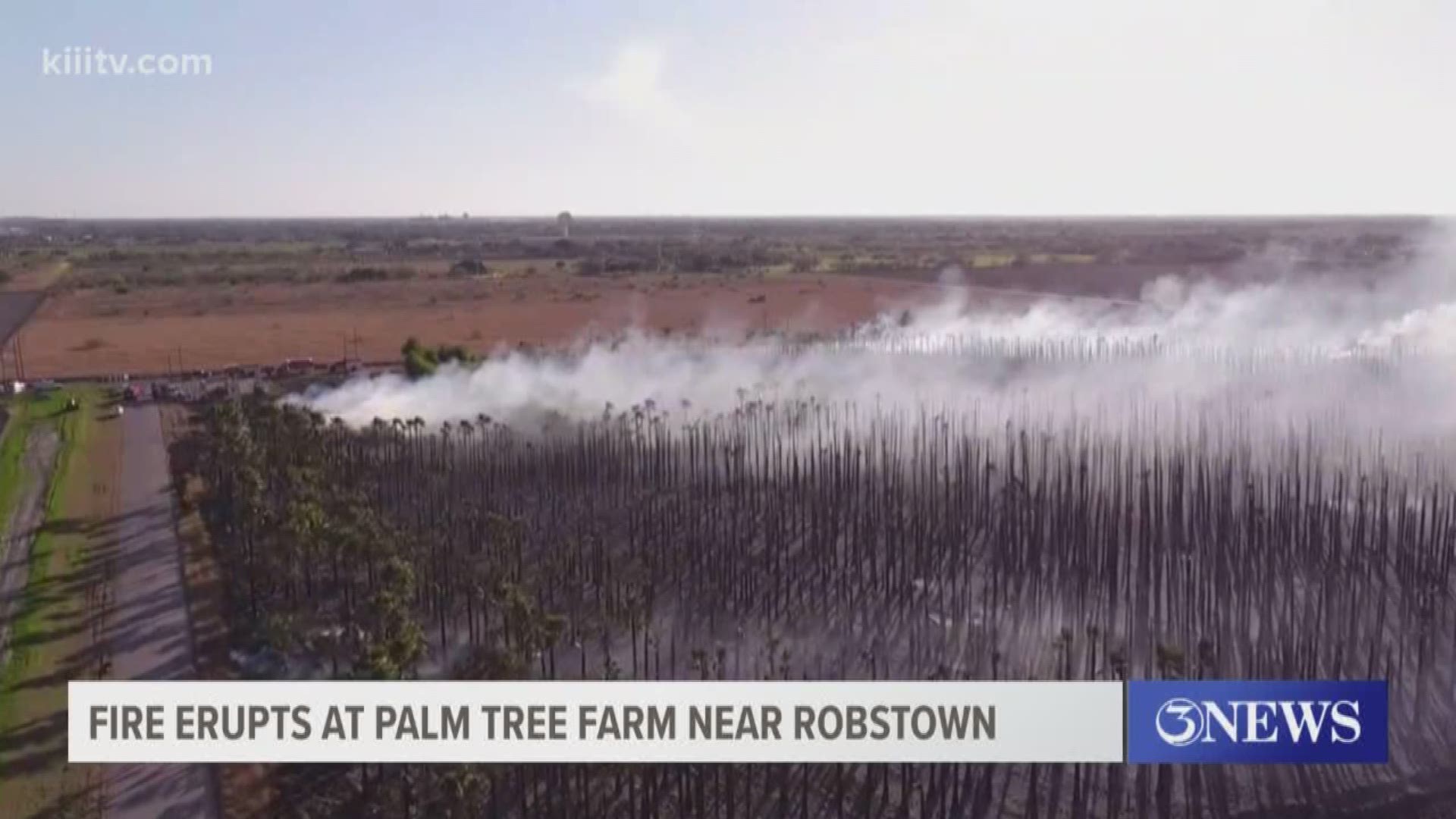 About 100 acres burn after fire breaks out at palm tree farm in ...