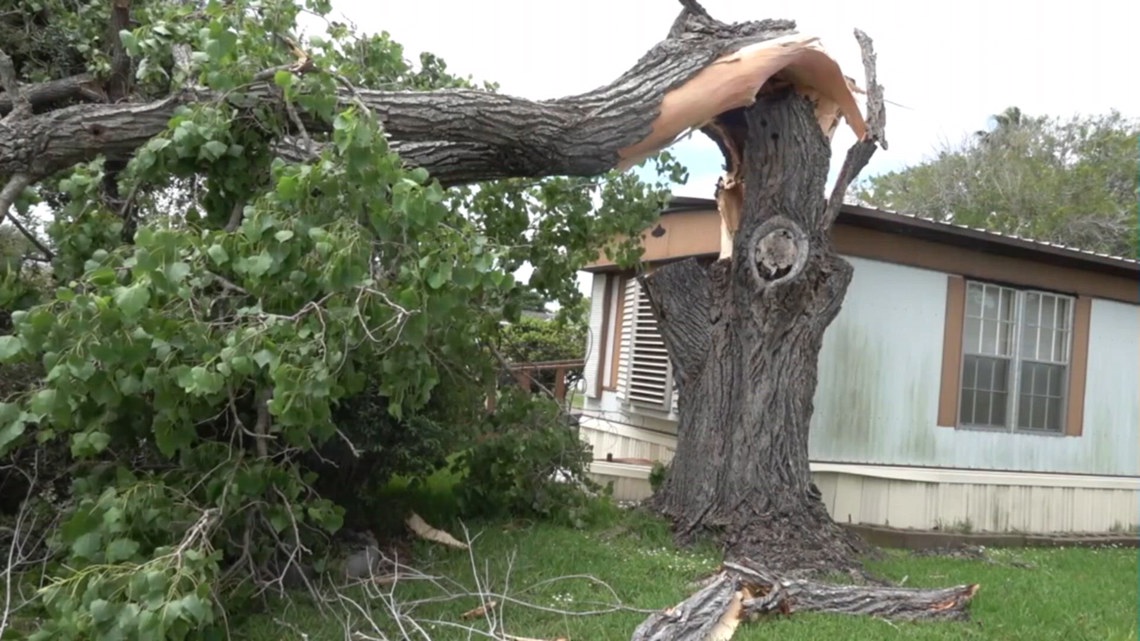 Storm debris cleanup ramps up after severe weather near Oso Bay ...