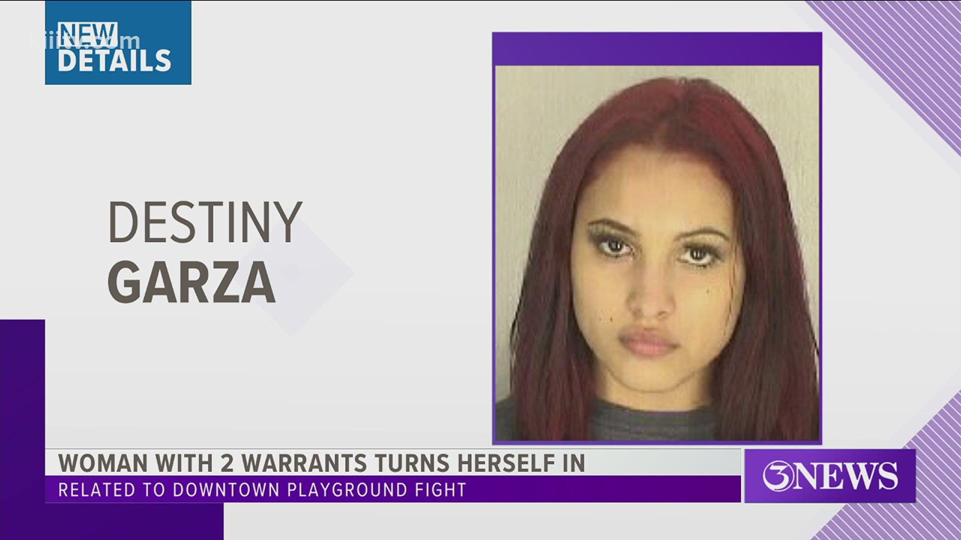 CCPD: Woman with two warrants related to a playground fight in downtown ...