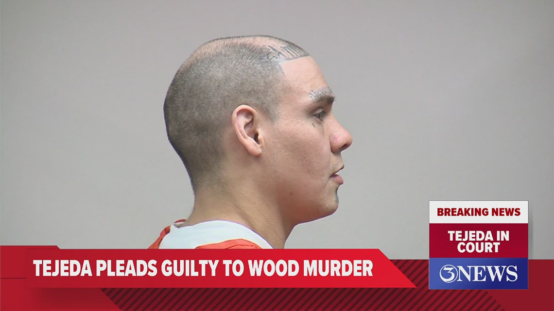 Joseph Tejeda pleads guilty to wood murder | kiiitv.com