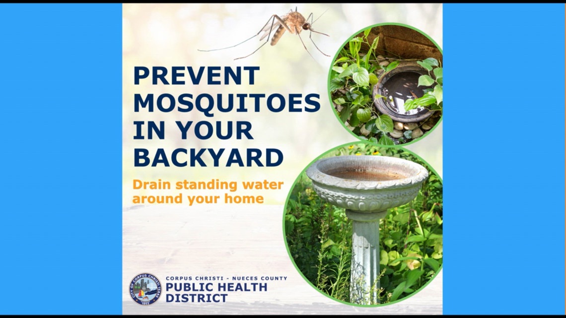 Free mosquito prevention kits | kiiitv.com