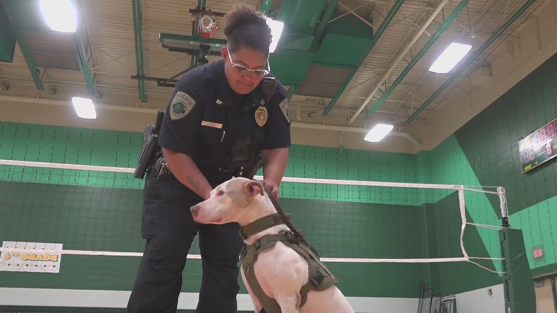 Rockport-Fulton ISD's new K9 officer hits the ground running | kiiitv.com