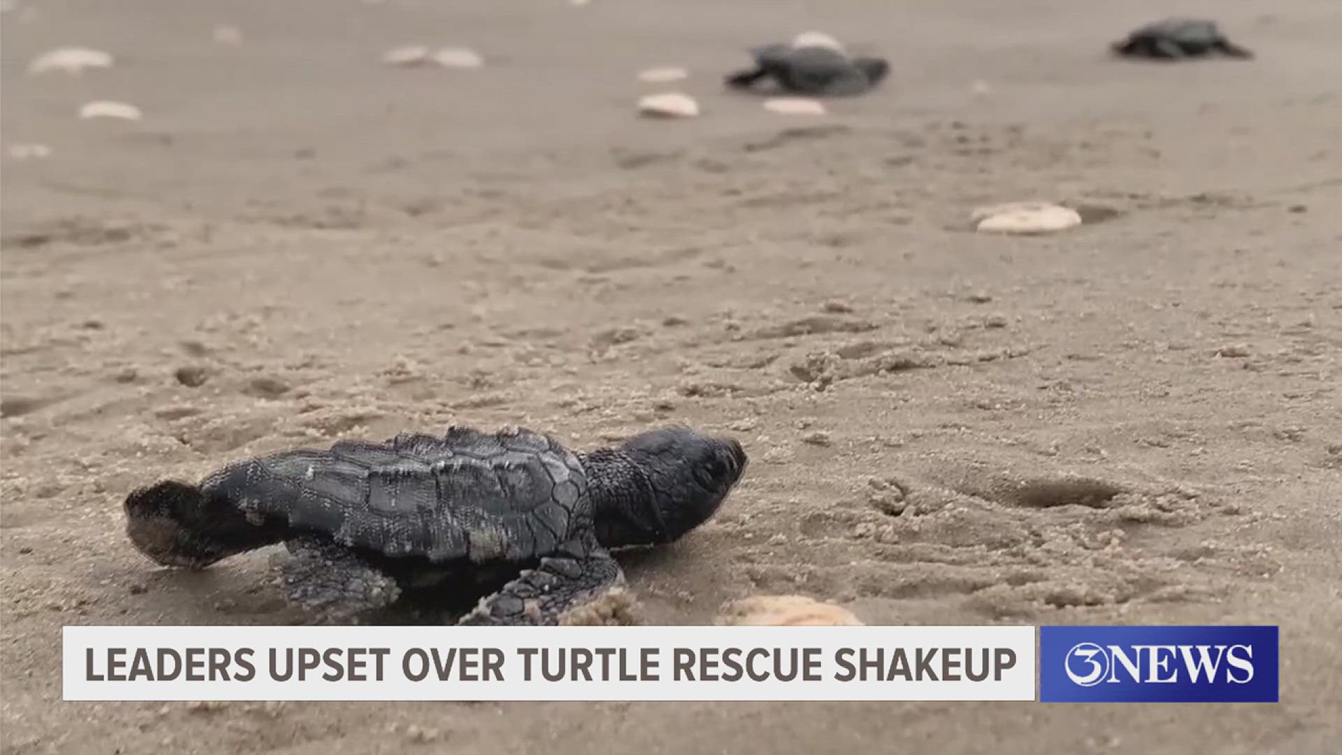 Japan says Trump has invited its leader to the US. It comes as ties ...