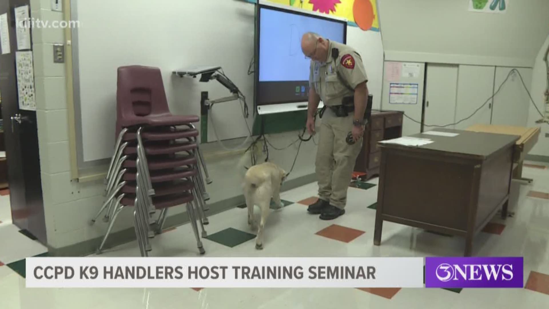Law enforcement K-9 handlers take part in training seminar | kiiitv.com
