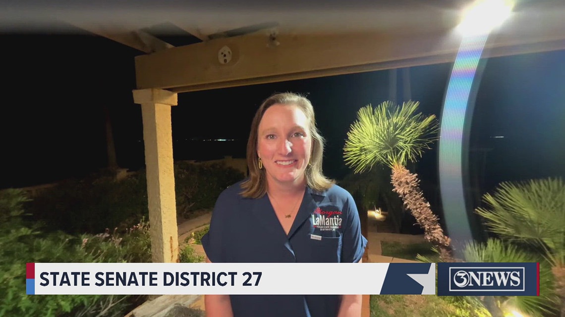 Senator Morgan LaMantia talks State Senate District 27, campaigning and ...