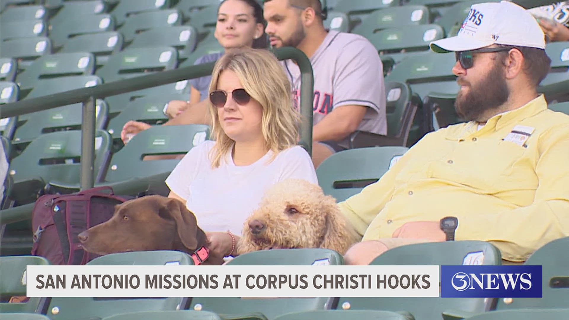 Hooks fall in extras on bark in the park night | kiiitv.com