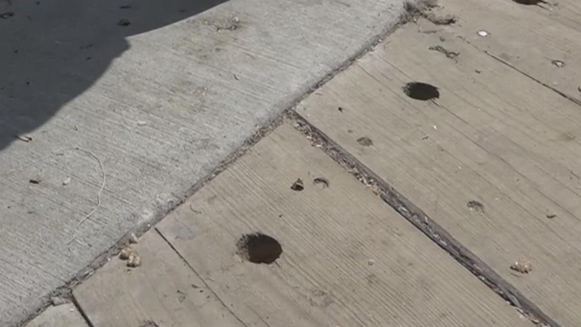 One week after reopening, Nueces County officials report vandalism at ...