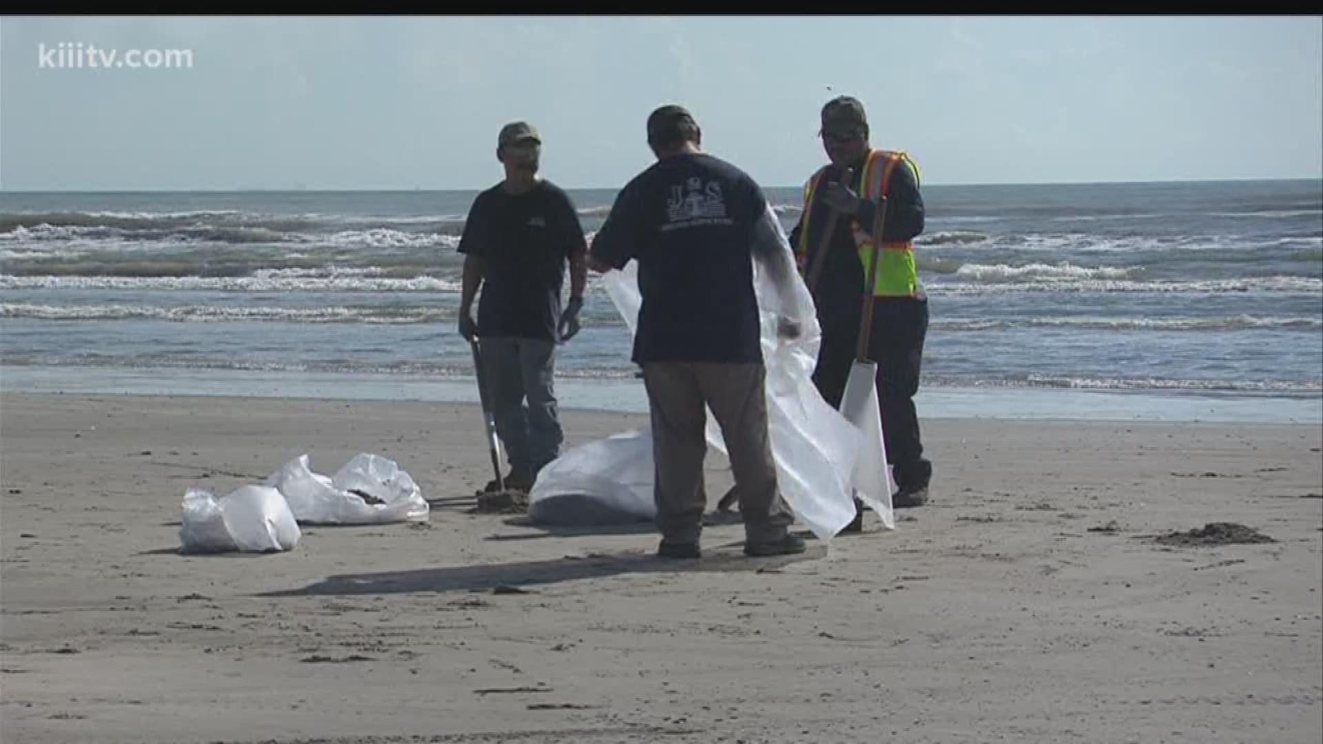 Cleanup continues along beach shorelines after Friday's barge explosion ...