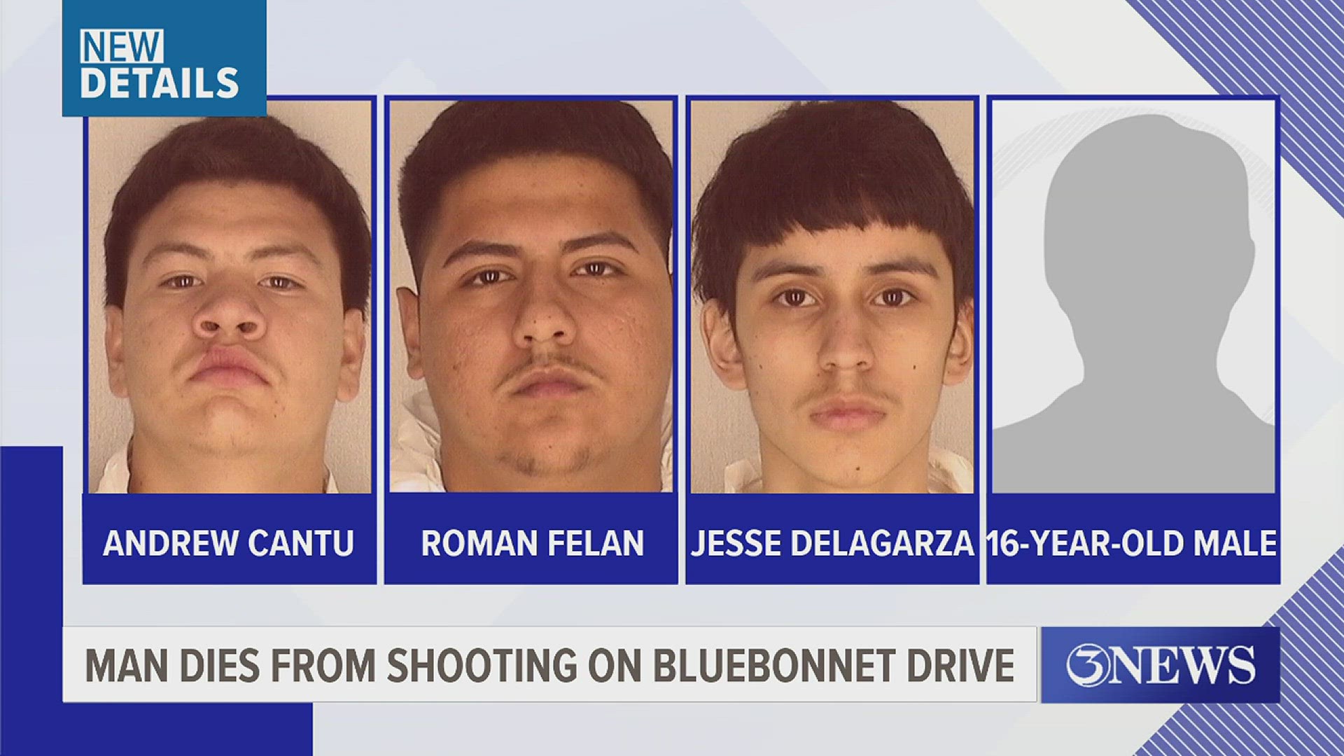 Man pleads guilty to 2023 Bluebonnet Drive shooting | kiiitv.com