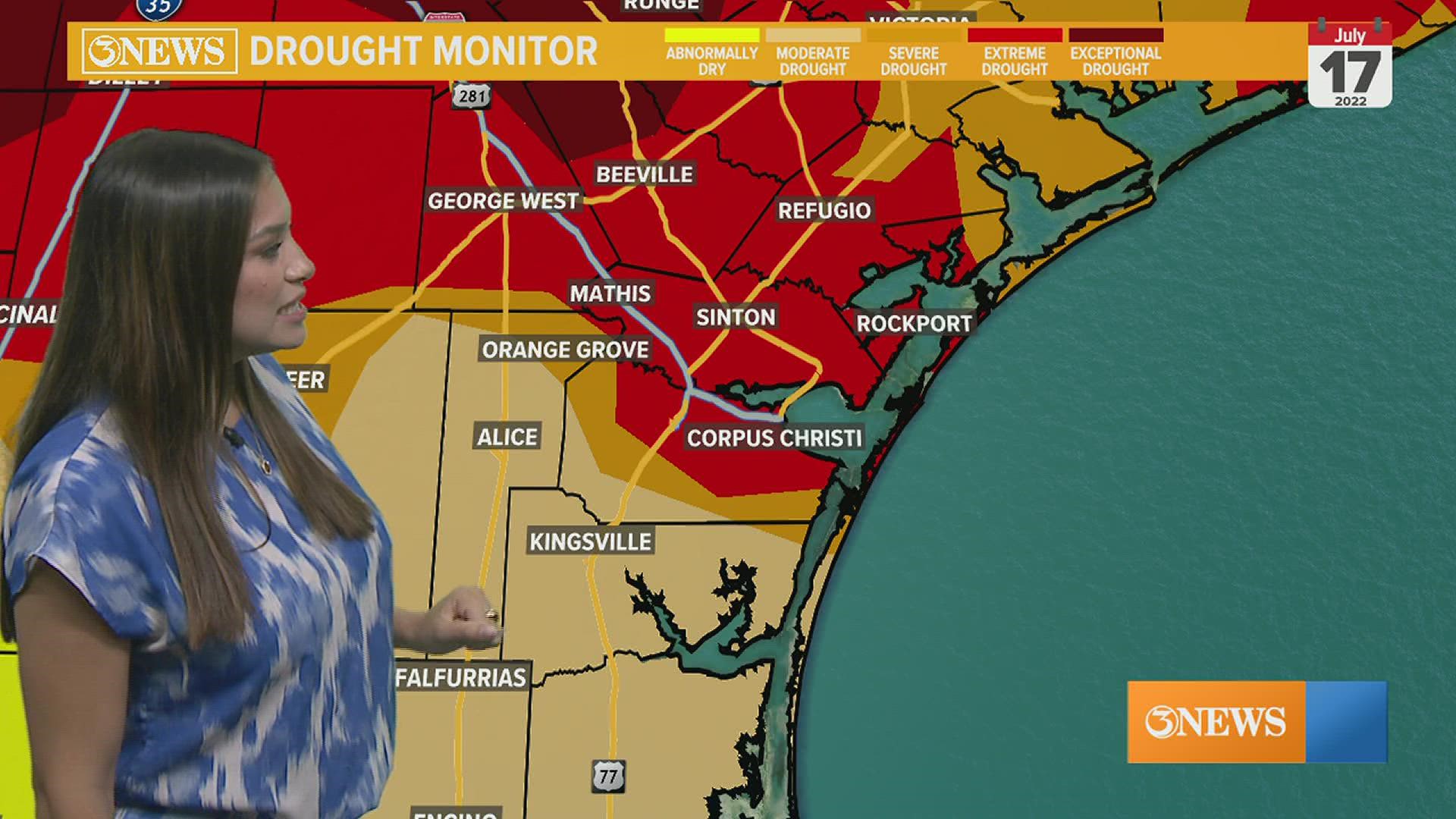 Kristin Walla | kiiitv.com