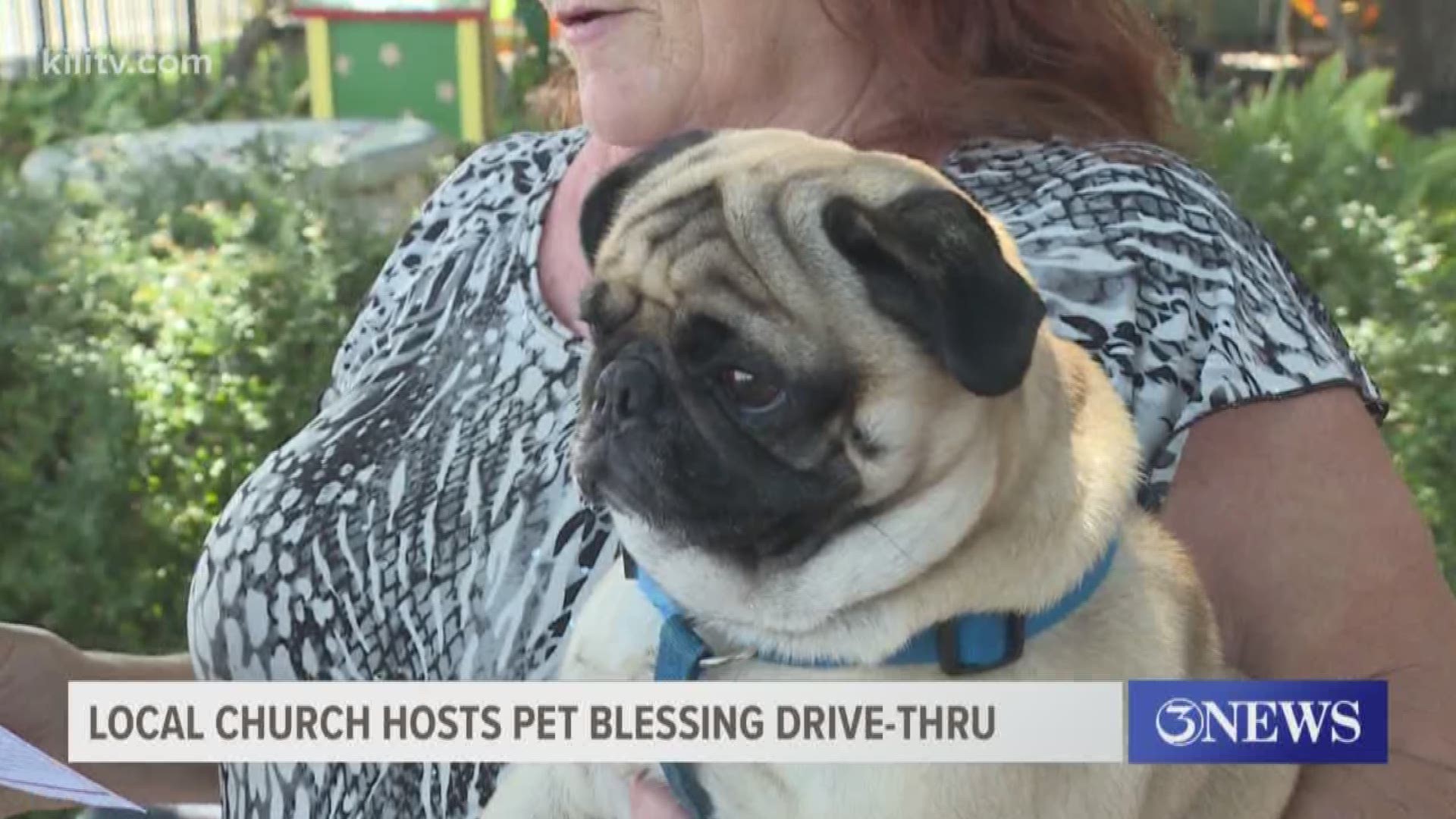 Church in Corpus Christi offers blessings to animals | kiiitv.com