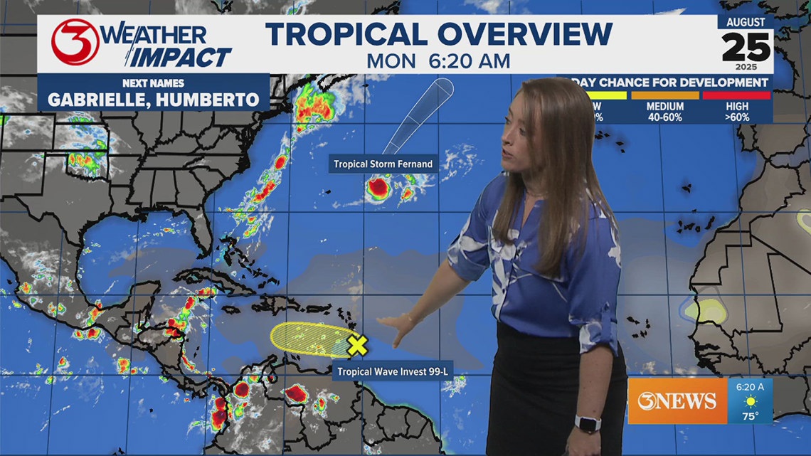 Texas Windstorm Insurance Association approves rate hike Tuesday ...