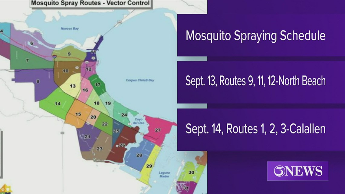 City of Corpus Christi continues to spray for mosquitoes | kiiitv.com