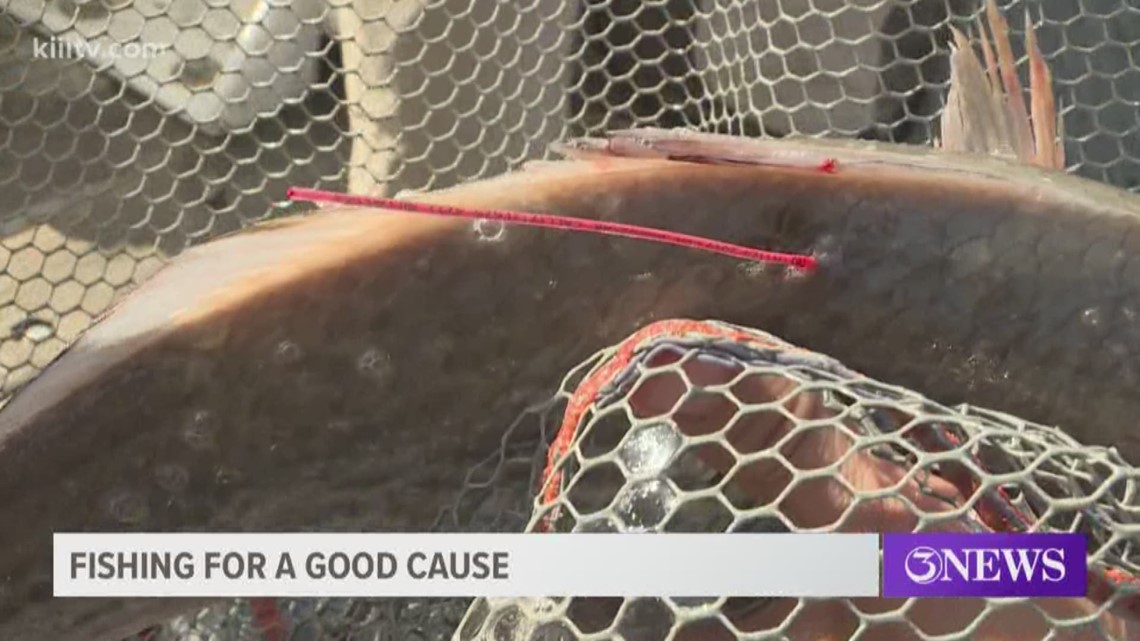 Tagged redfish released along Texas coast or annual CCA Star Tournament ...