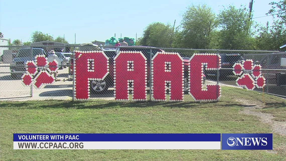 PAAC hosts free dog food event | kiiitv.com