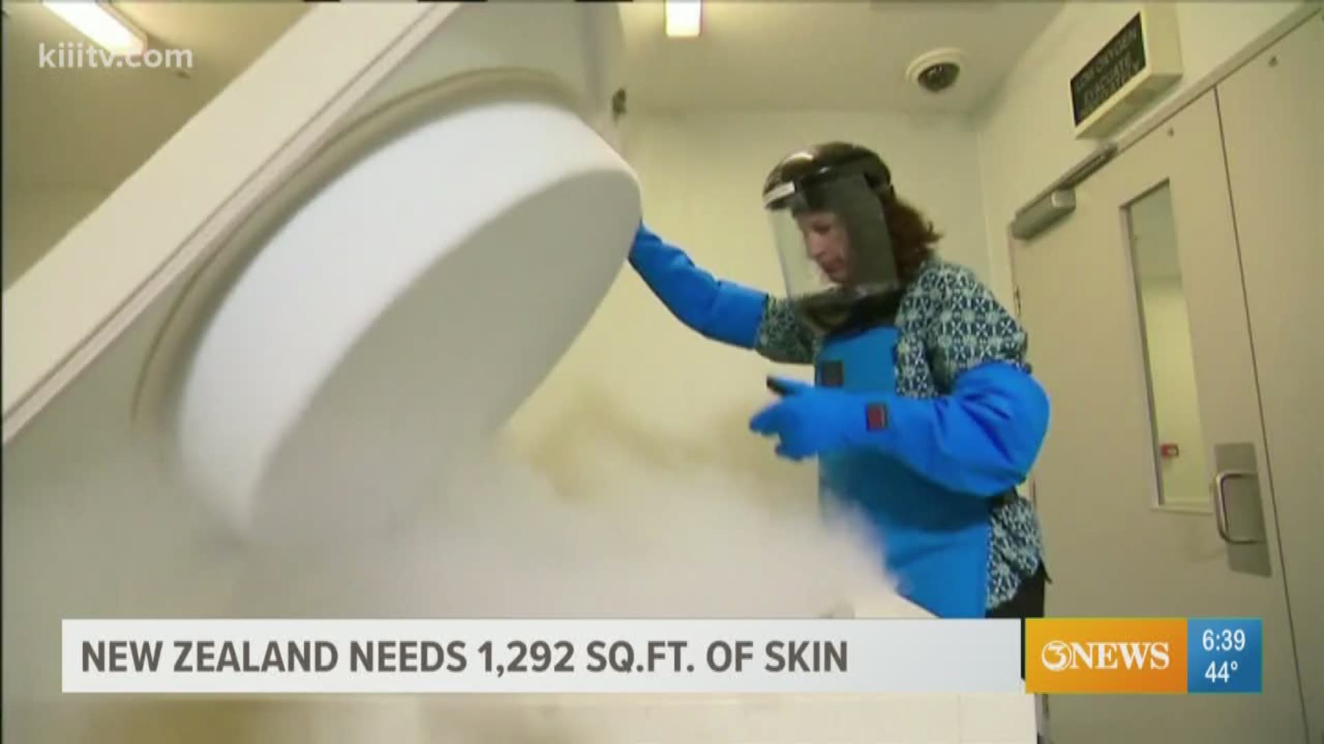 Understanding how 1,290 square feet of skin is gathered, delivered, and ...