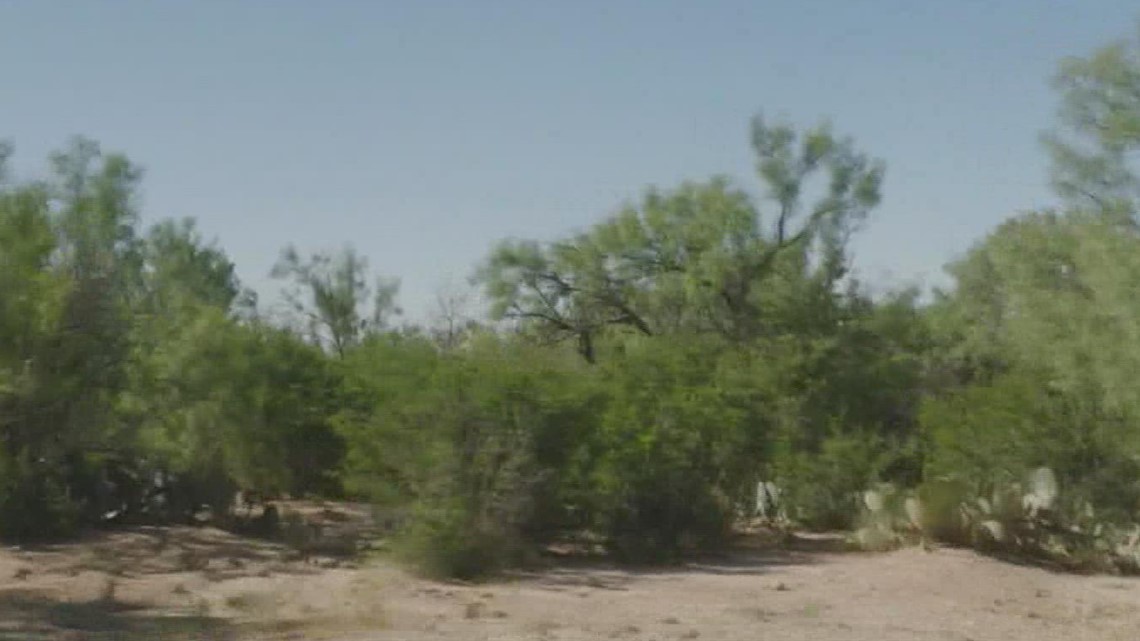 Brook County officials hope for new border policy | kiiitv.com