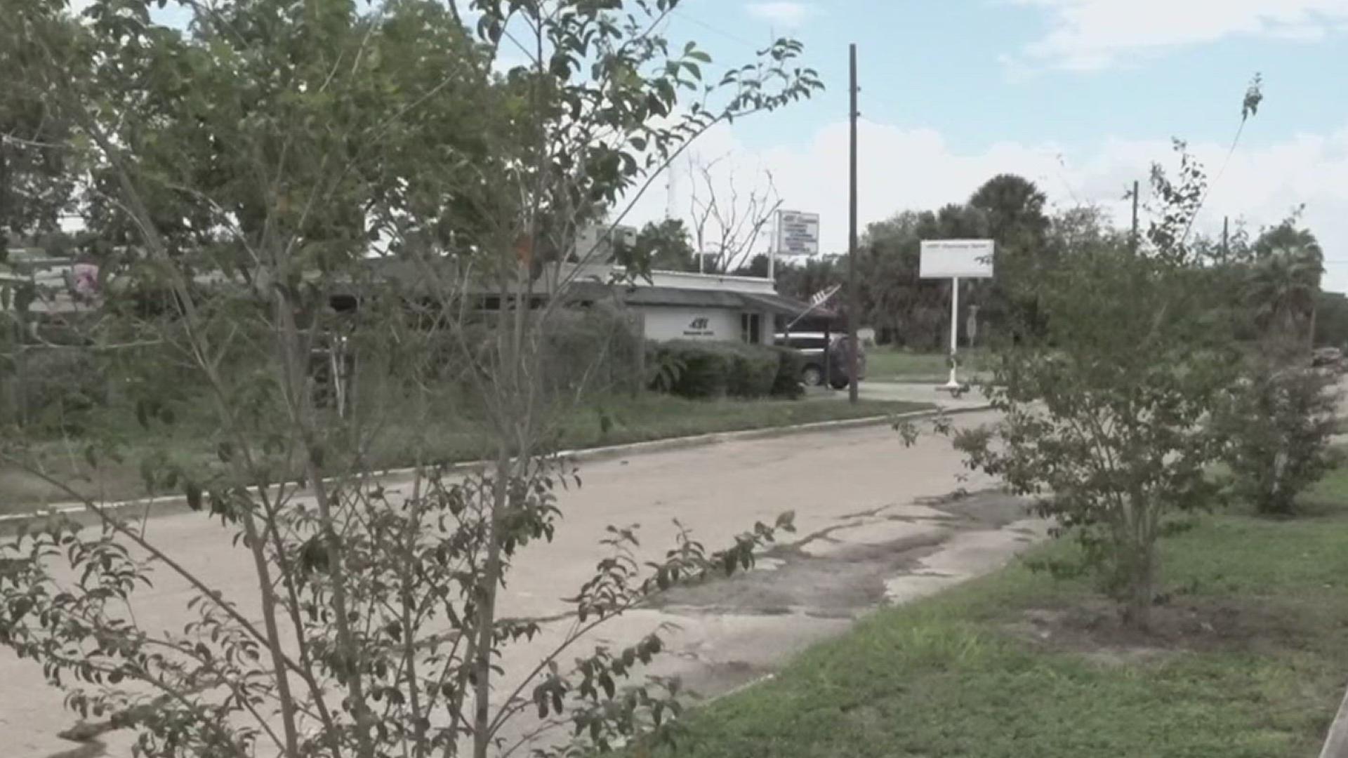 Hispanic Heritage Month: Honoring Kingsville roots with trees | kiiitv.com