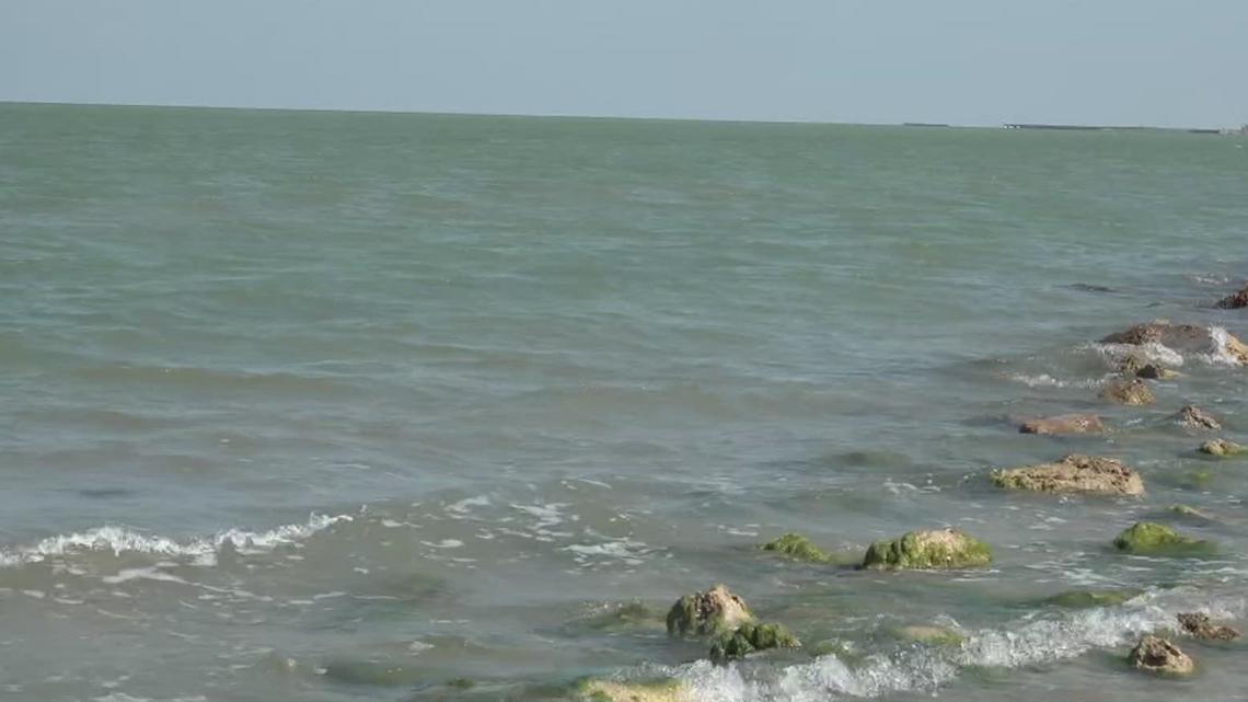 TAMU-CC to be part of groundbreaking ocean energy research | kiiitv.com