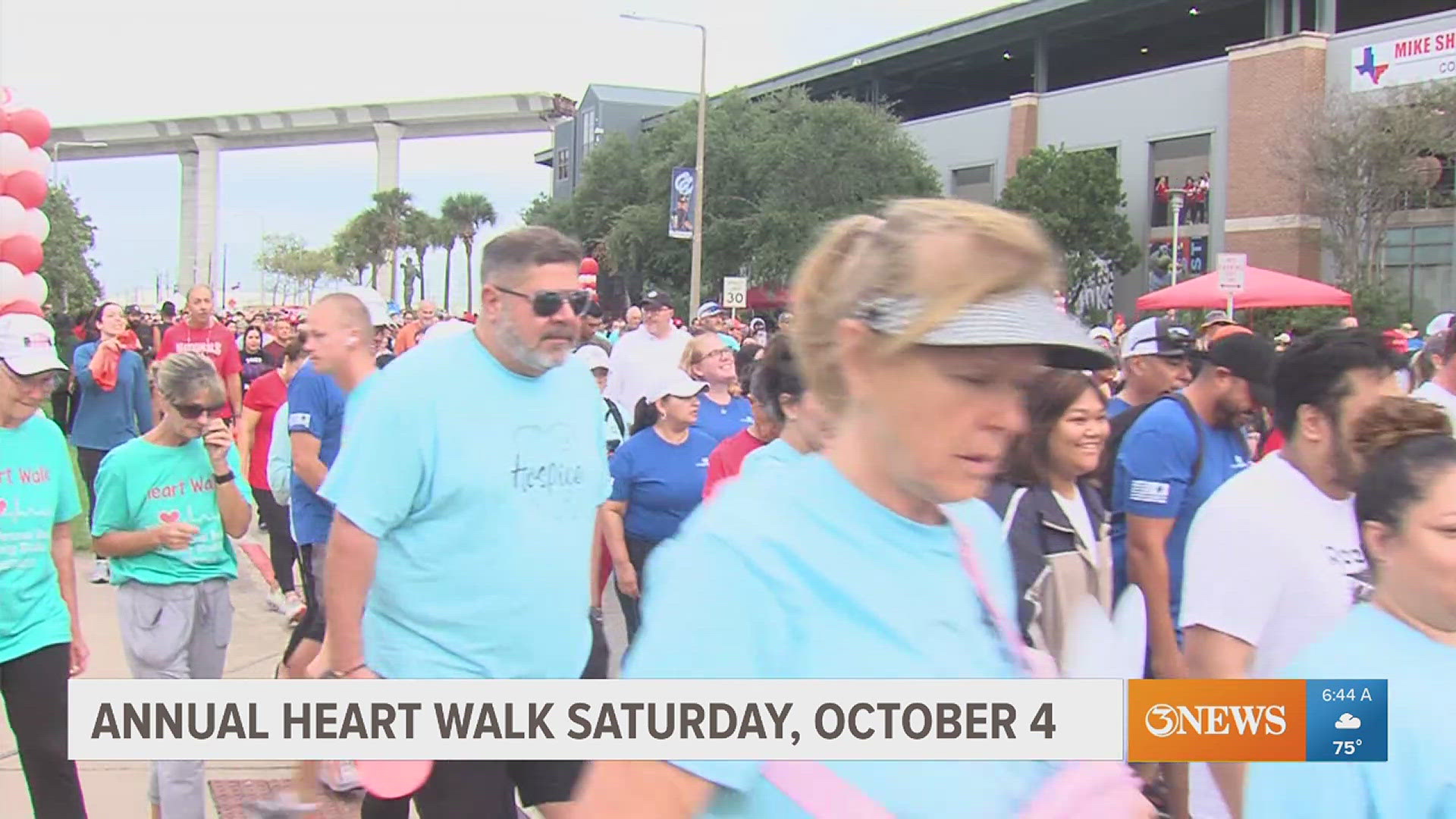 29th Annual Coastal Bend Heart Walk | kiiitv.com