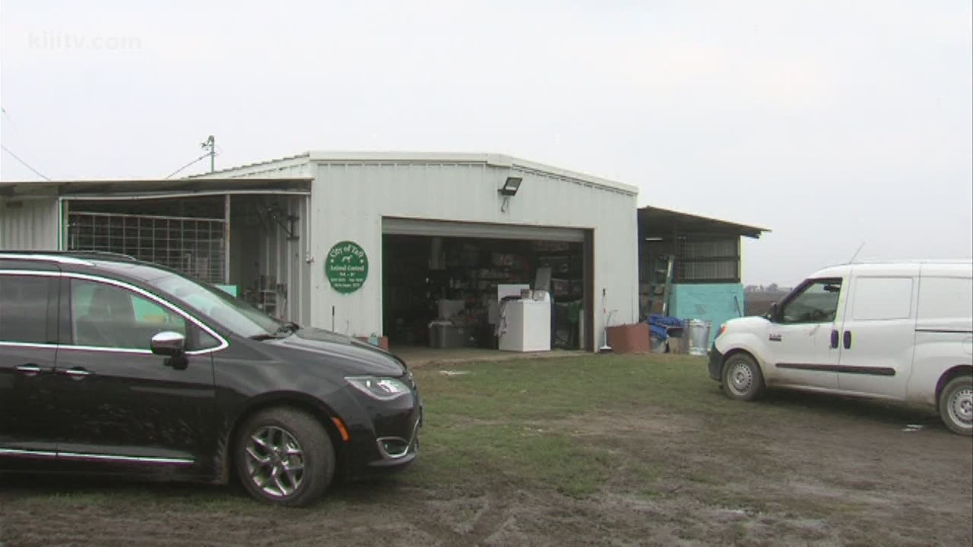 Someone to Know: Taft Animal Control Officer Kayla Denney | kiiitv.com