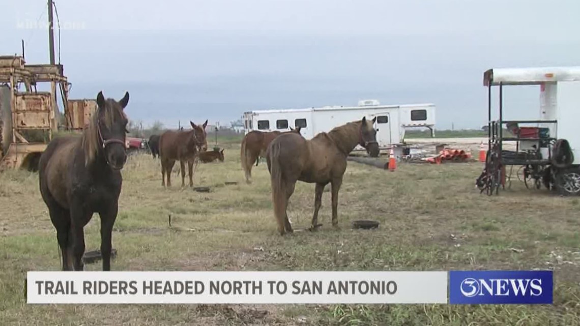 Riders prepare for 61st annual South Texas Trail Ride | kiiitv.com
