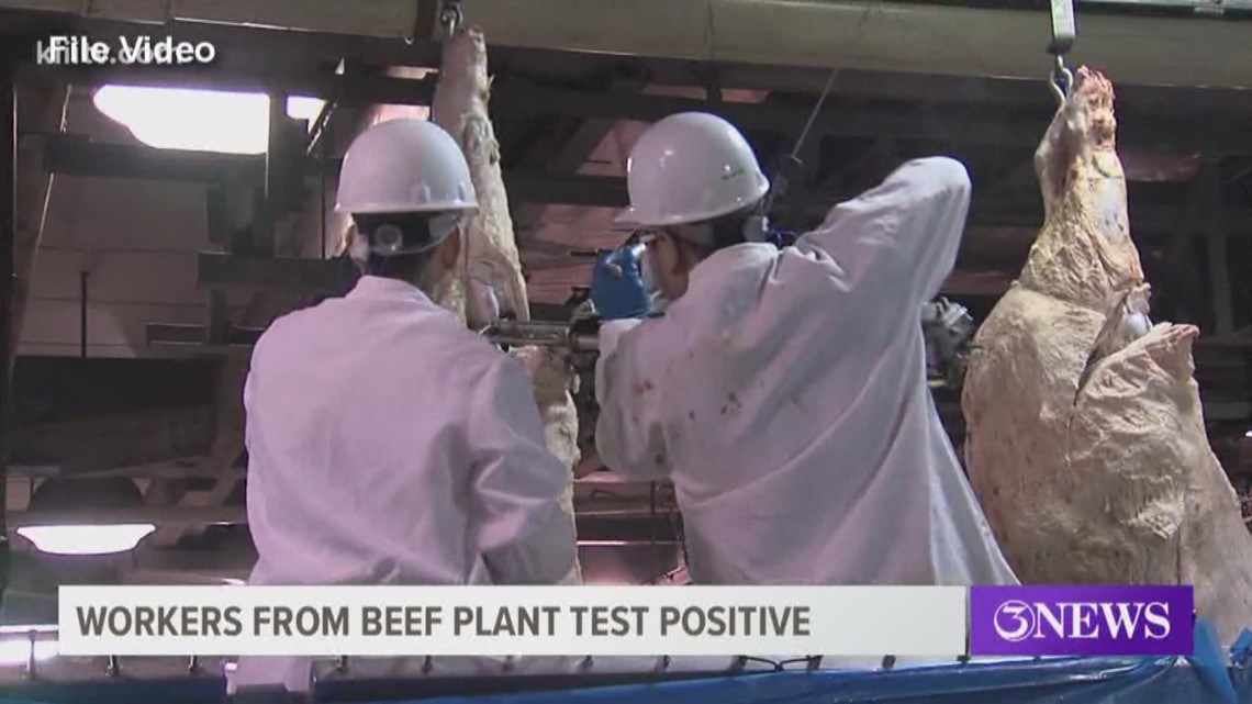 Multiple workers at STX Beef test positive for COVID-19 | kiiitv.com