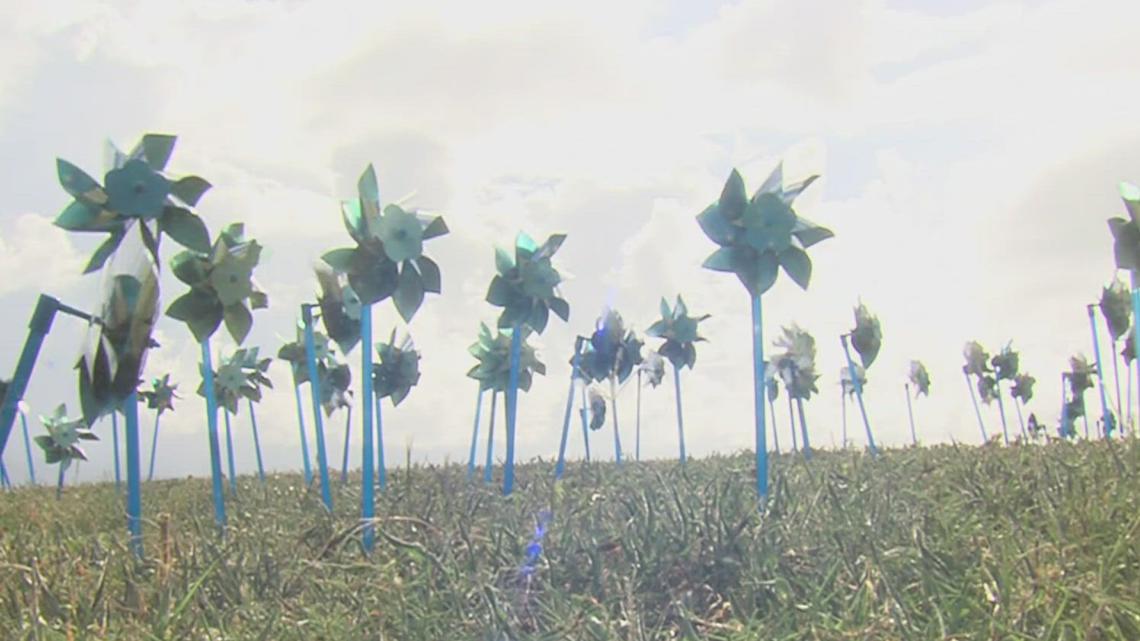Pinwheel event held to help support families | kiiitv.com