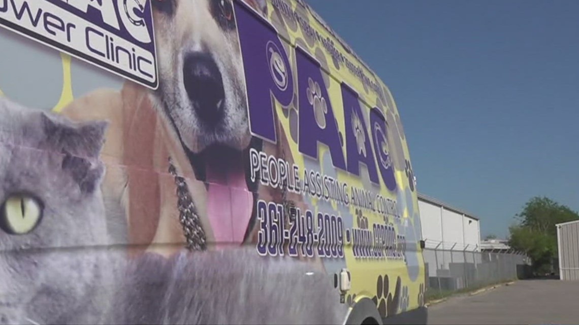 PAAC sees surge in procedures following city ordinance | kiiitv.com