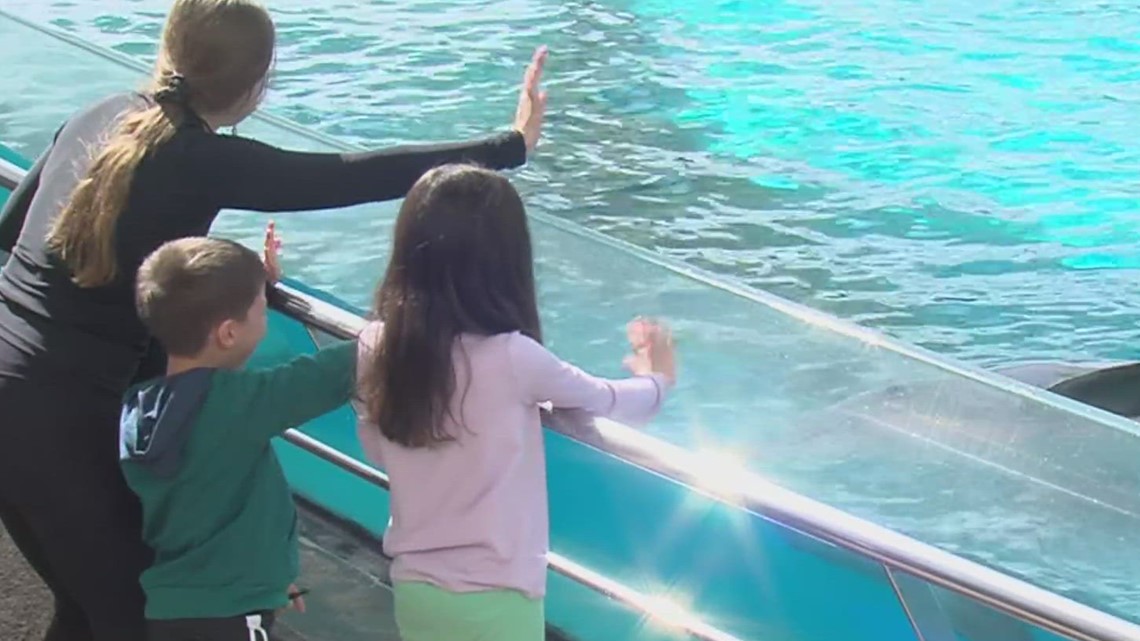 Texas State Aquarium conserving water in light of drought | kiiitv.com