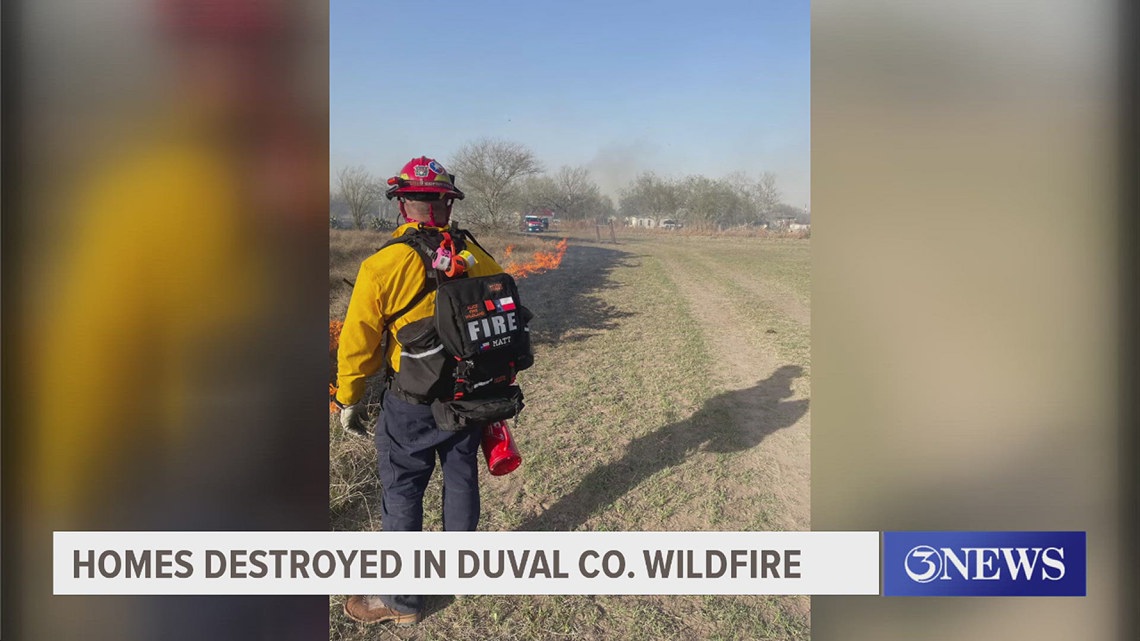 Homes destroyed in Duval Co. wildfire | kiiitv.com