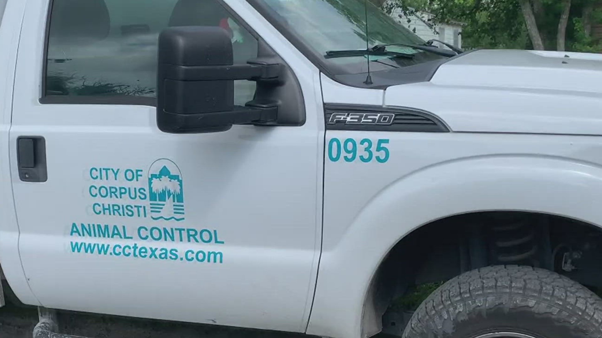 Corpus Christi ACS department will see complete overhaul | kiiitv.com