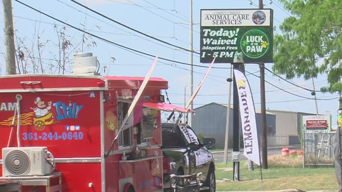 Corpus Christi Animal Care Services to host Luck of the Paw event ...