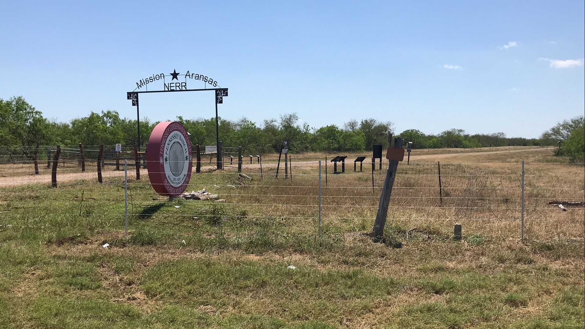 Four immigrants detained after bailout in Refugio County | kiiitv.com