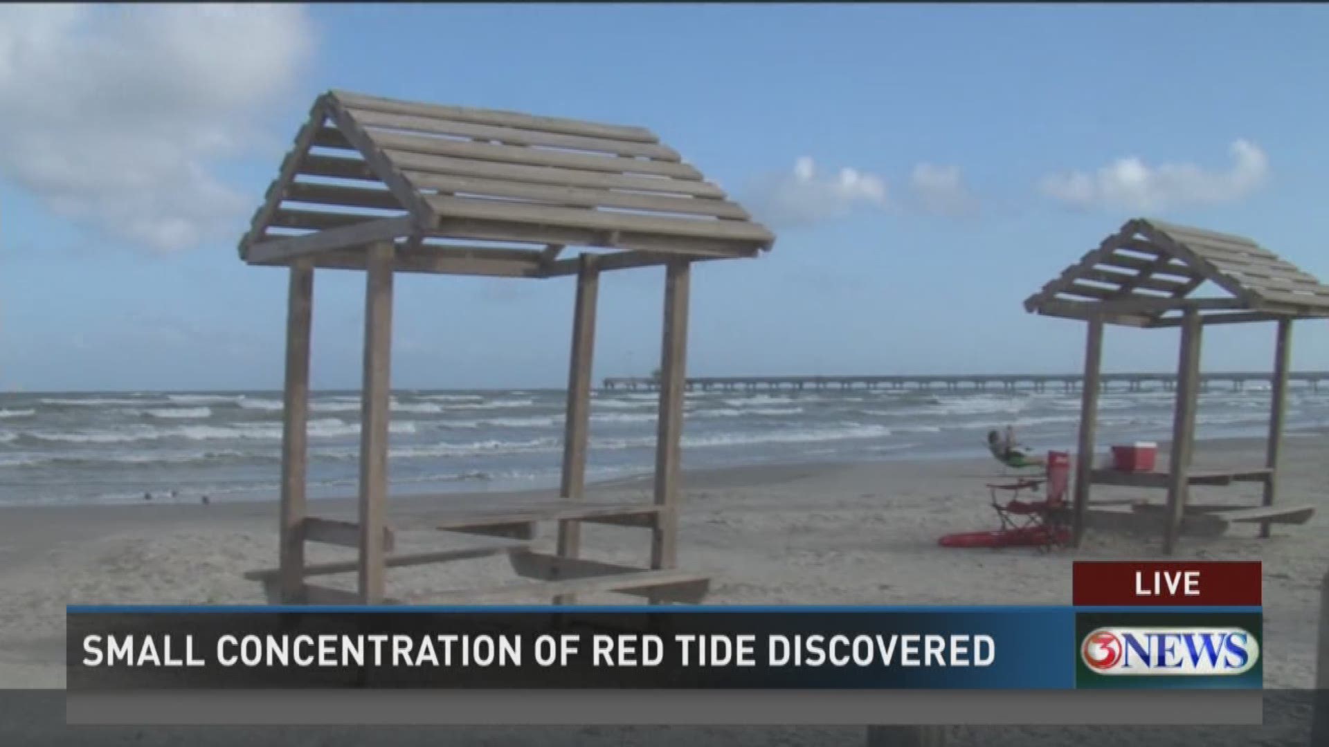 Small concentration of red tide discovered at National Seashore ...